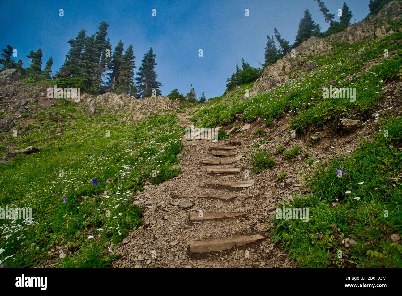 Ellinor High Resolution Stock Photography and Images - Alamy