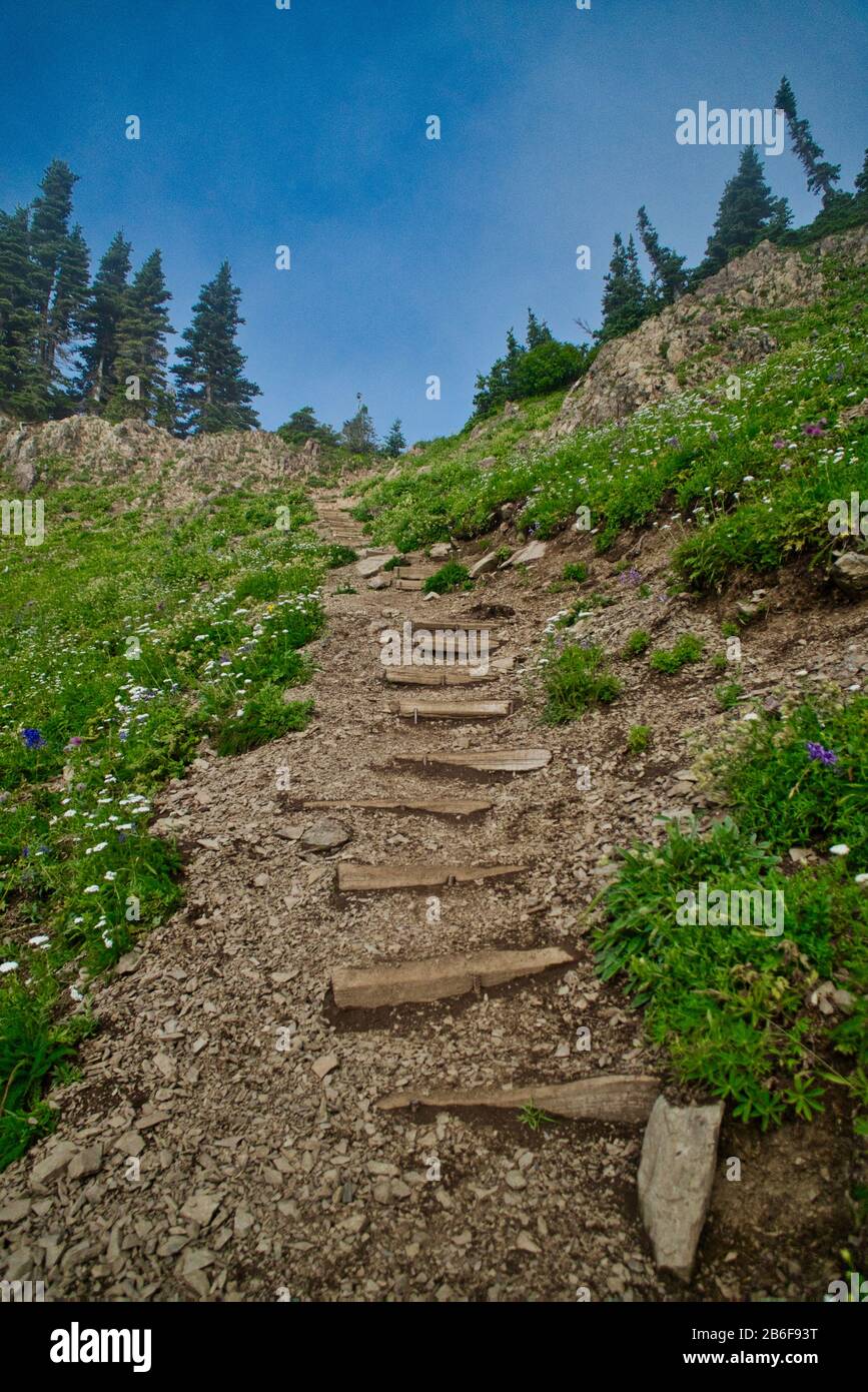 Mt. Ellinor in Washington State Stock Photo - Alamy