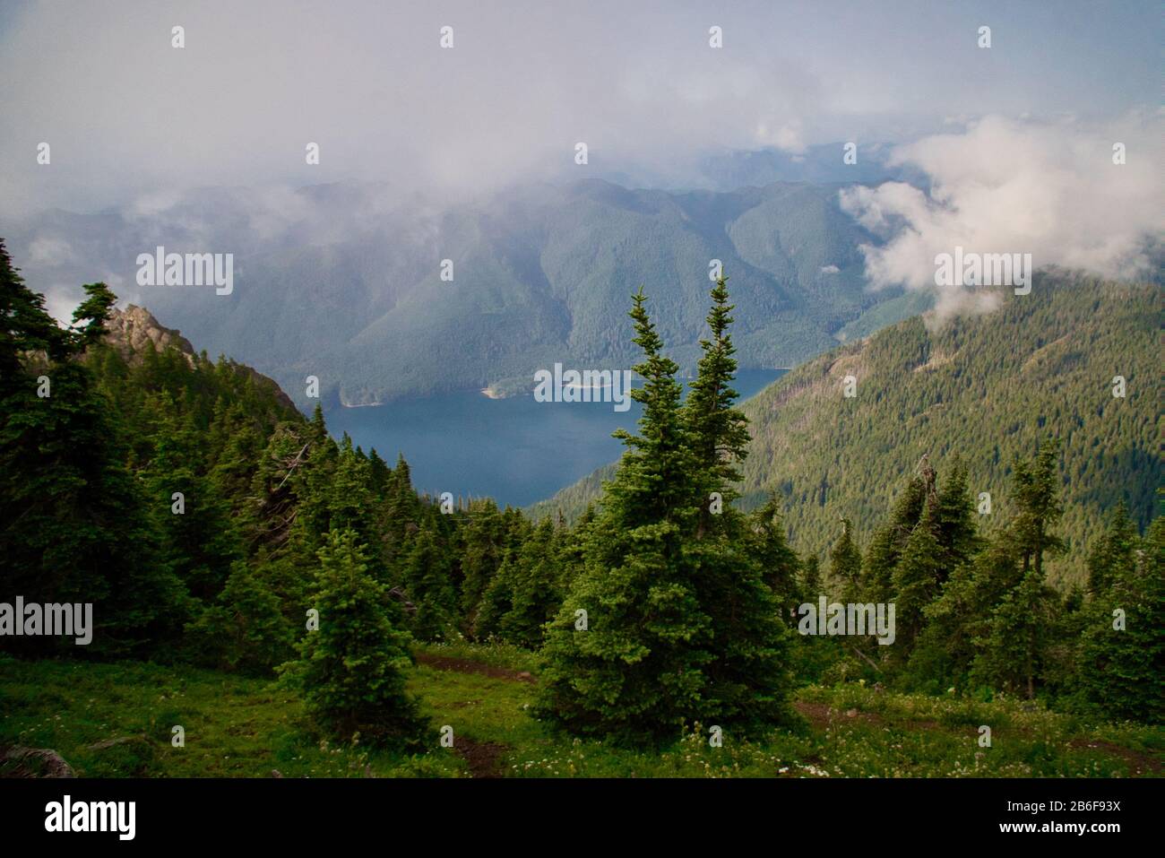 Mt. Ellinor in Washington State Stock Photo - Alamy
