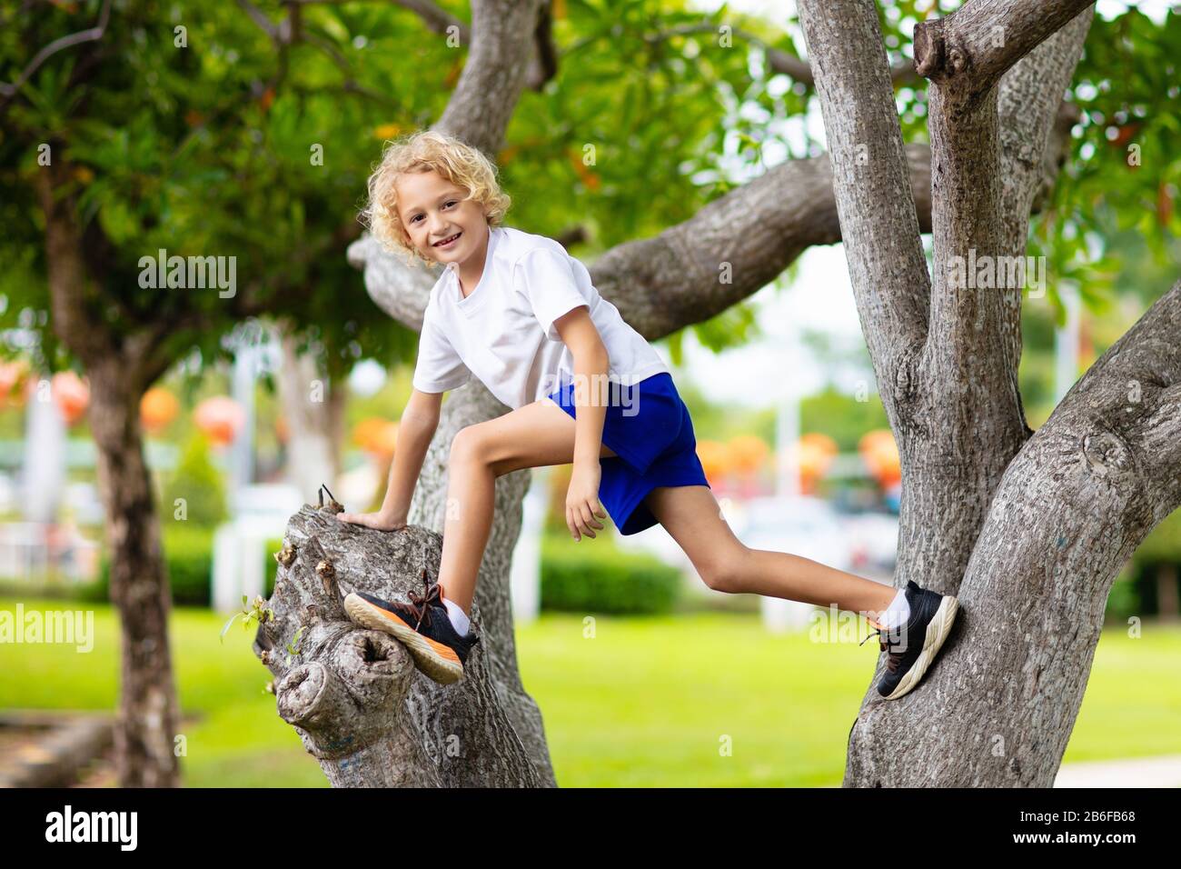 Kids climb tree in summer park. Child climbing. Adventure for young ...