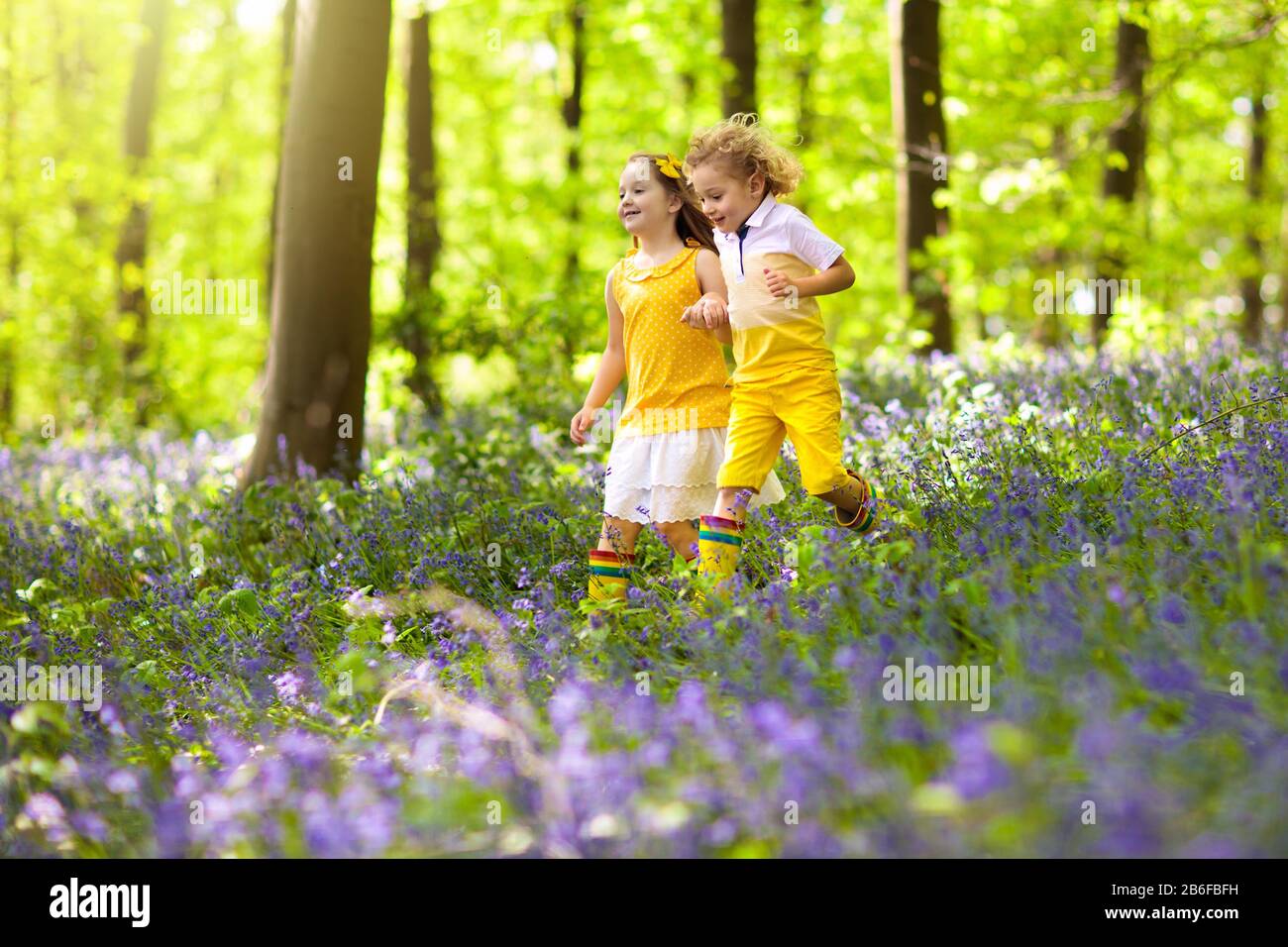 Kids running in bluebell woods. Children play in spring park with wild ...