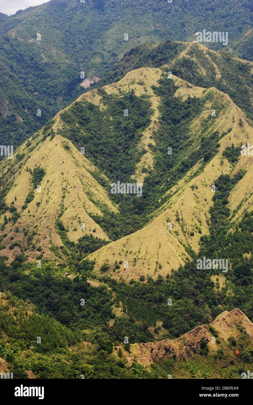 Lolai toraja hi-res stock photography and images - Alamy