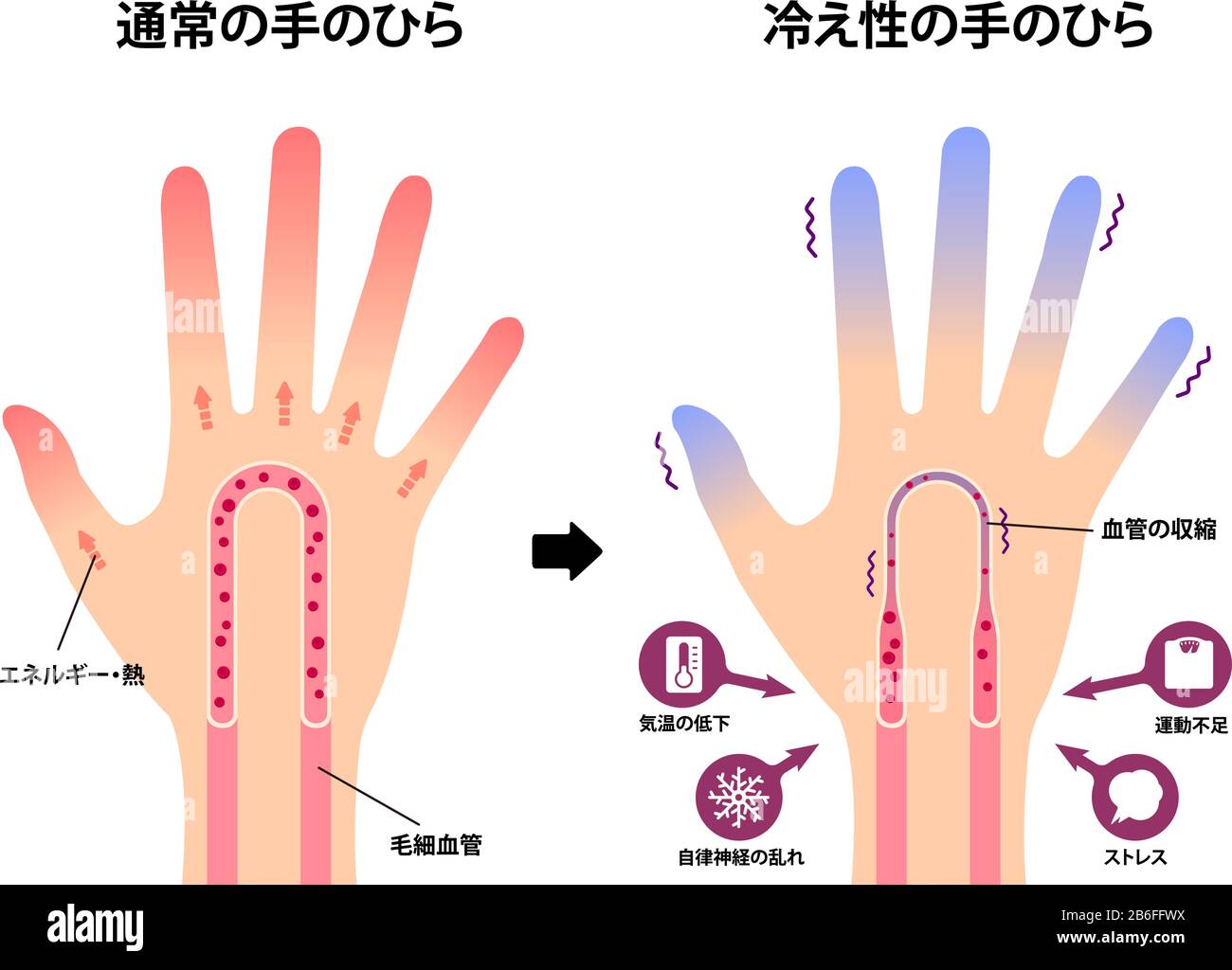 Human body temperature Stock Vector Images - Alamy