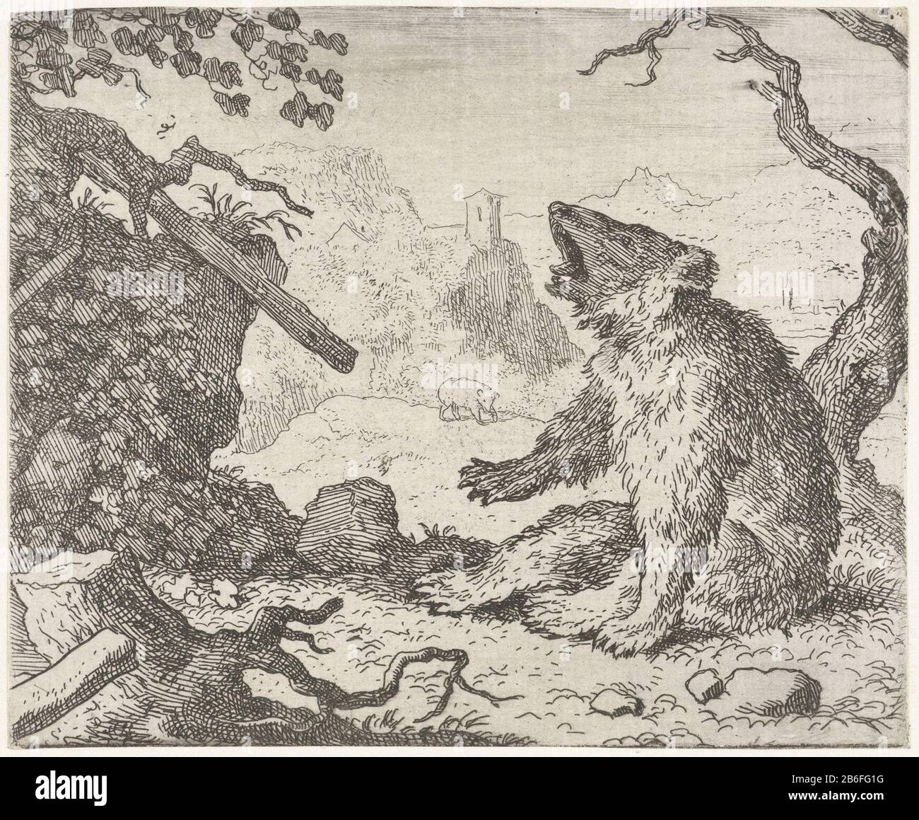 Etching tree roots hi-res stock photography and images - Alamy