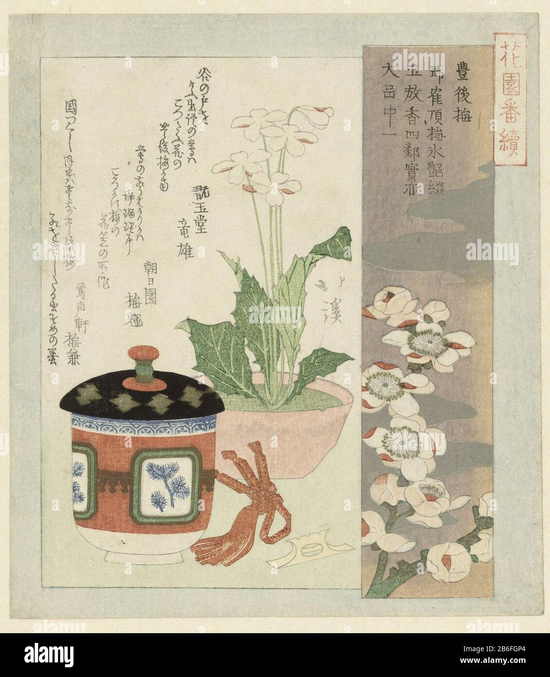 Bungo plum blossom Bungo ume (title object) A series for the Hanazono ...