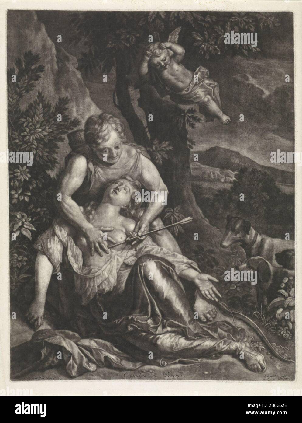 Procris cephalus et procris hi-res stock photography and images - Alamy