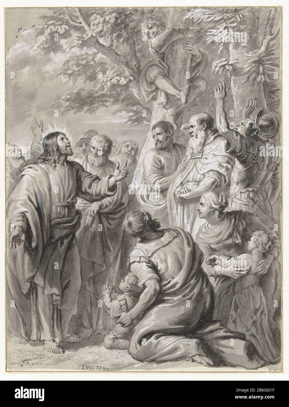 The tree of zacchaeus hi-res stock photography and images - Alamy