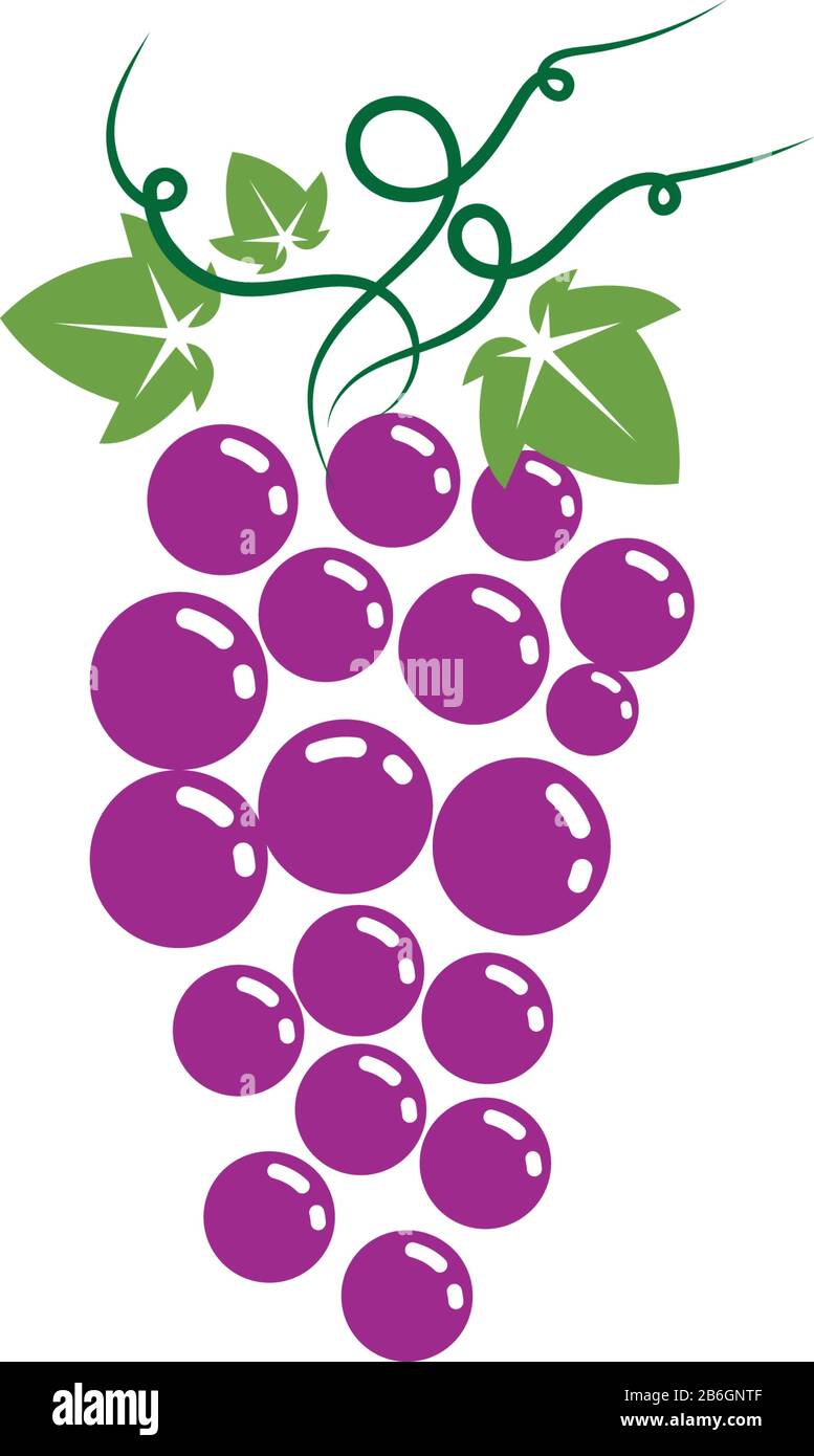 Red seedless sweet grapes Stock Vector Images - Alamy