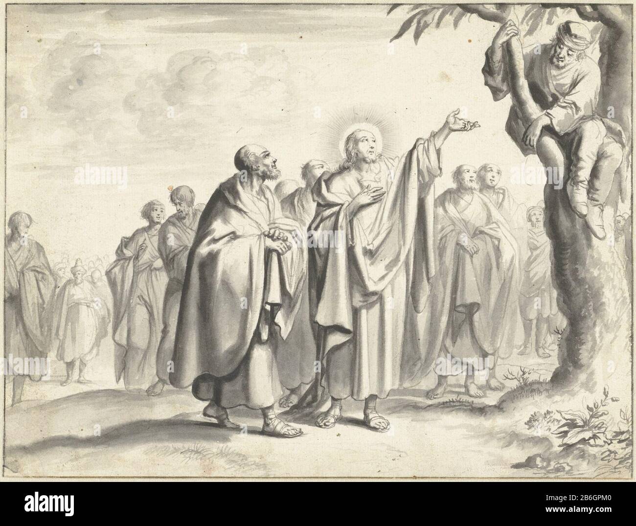 The tree of zacchaeus hi-res stock photography and images - Alamy