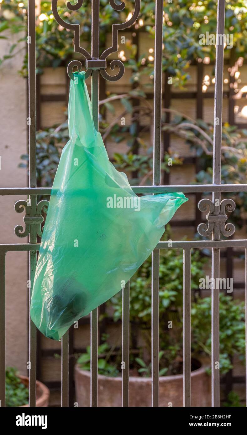 A single use plastic bag used to collect kitchen garbage hangs from an ...