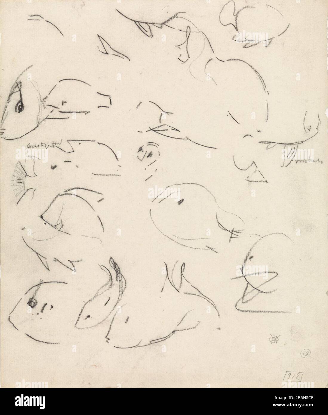 Contour Studies of fish Contour Studies of fish object type: Drawing ...