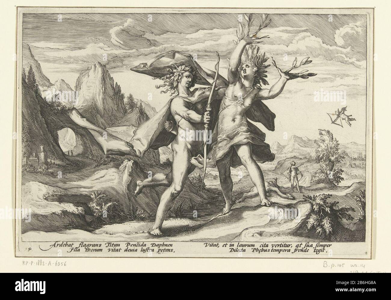 Daphne And Apollo Tree