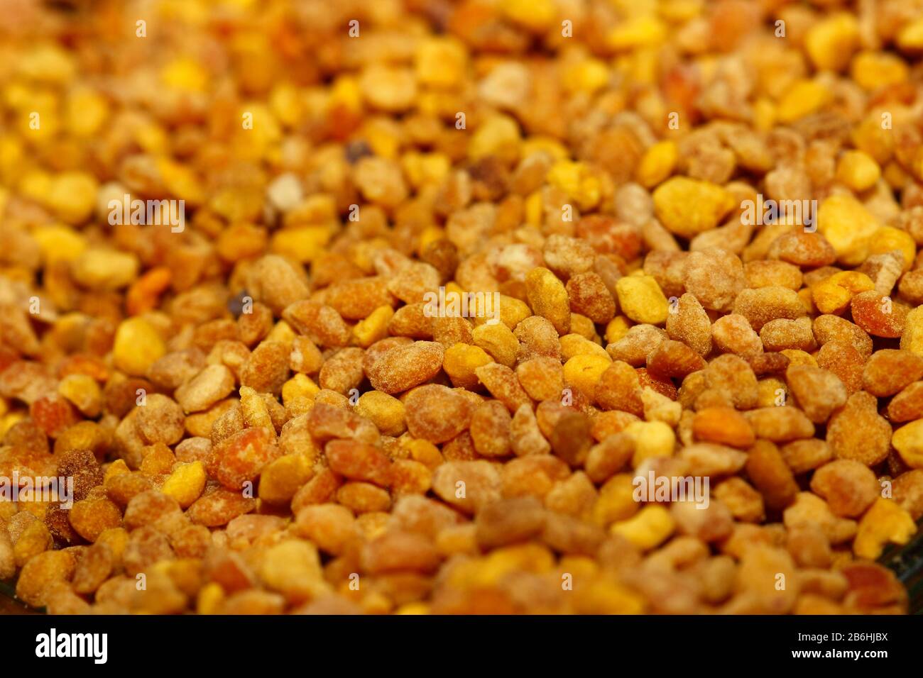 Pollen close up hi-res stock photography and images - Alamy