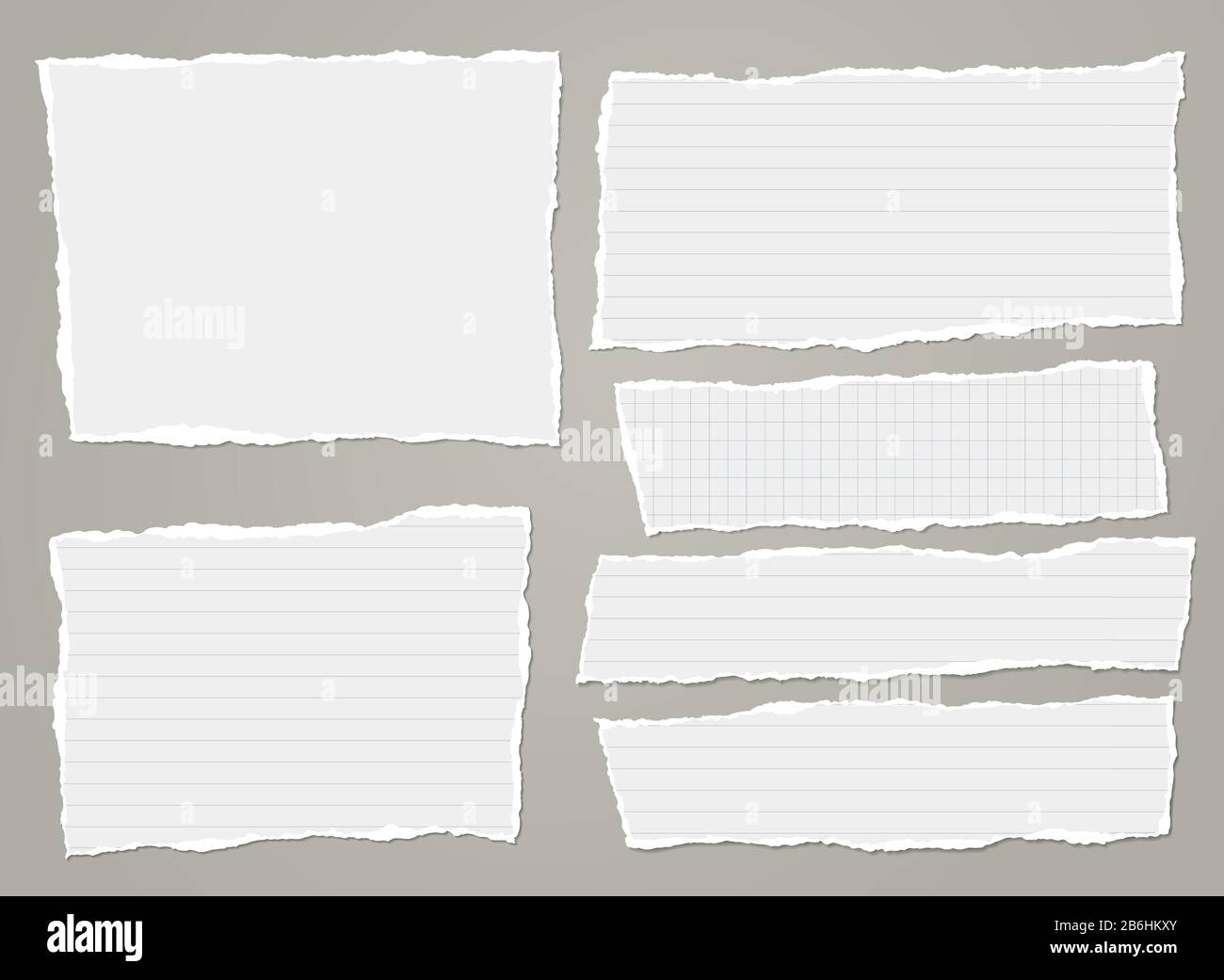 Torn of white lined, math note, notebook paper strips, pieces stuck on ...