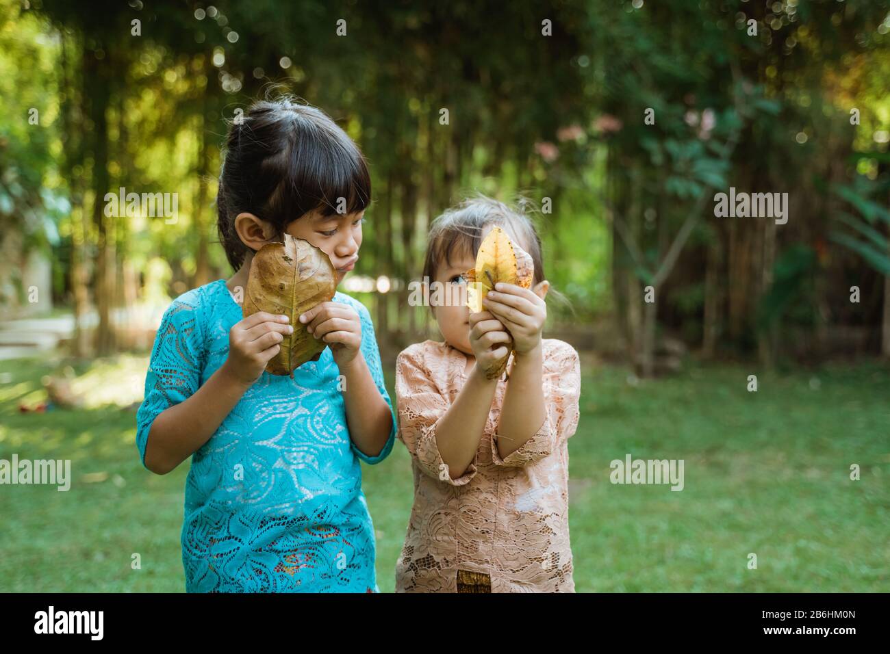 Two pretty girl wearing traditional javanese kebaya playing dried ...