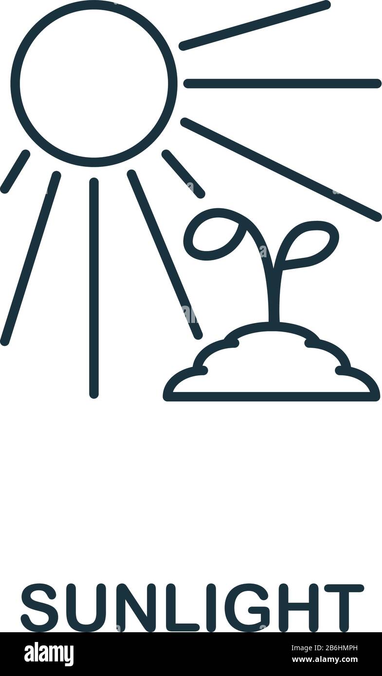 Sunlight icon from garden collection. Simple line Sunlight icon for ...