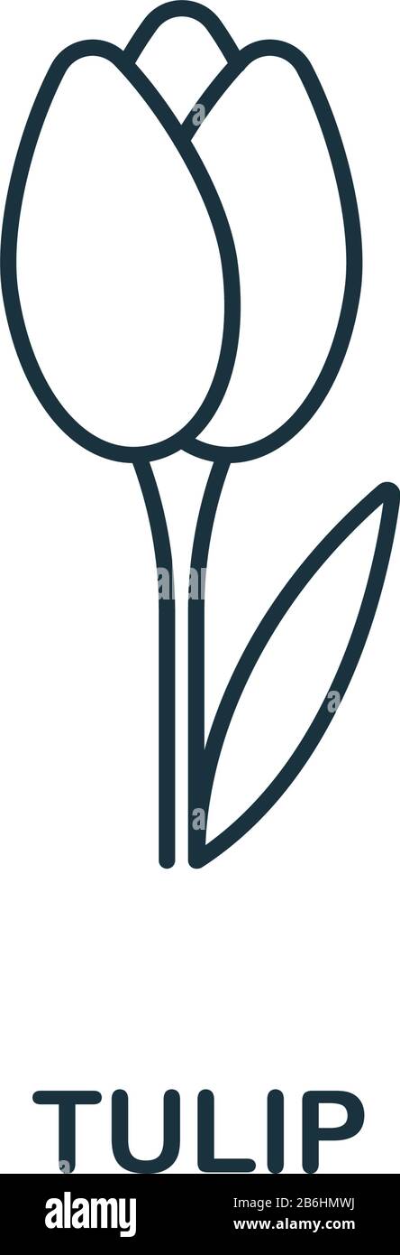 Tulip icon from garden collection. Simple line Tulip icon for templates ...