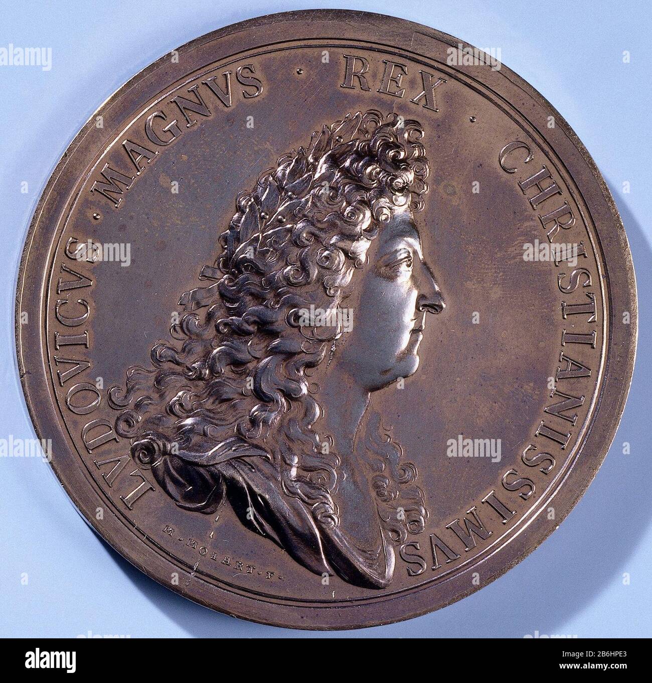 Weeping laurel hi-res stock photography and images - Alamy