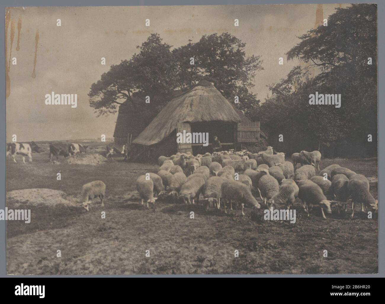 373 mm hi-res stock photography and images - Alamy