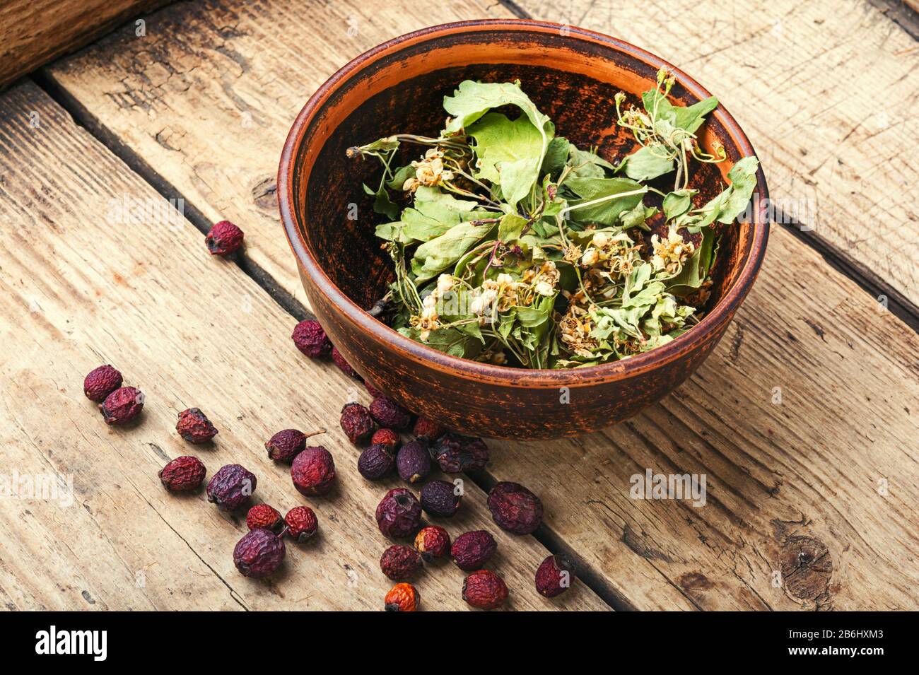 Medicinal plant hawthorn or haw in herbal medicine Stock Photo - Alamy