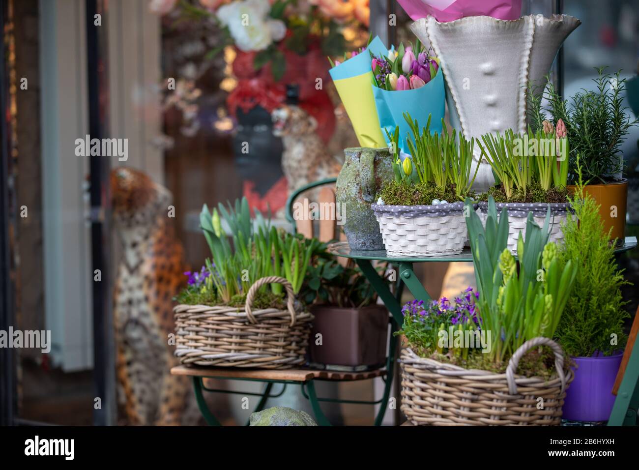 Vetrin hi-res stock photography and images - Alamy