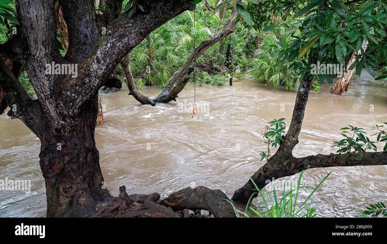Fast flowing water flooding the banks of a small creek and swimming ...