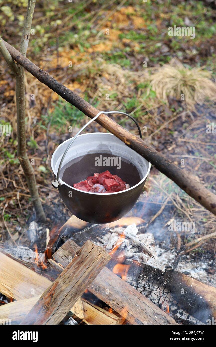 Cooking meat in a cauldron on a campfire. Food in outdoor. Life in ...