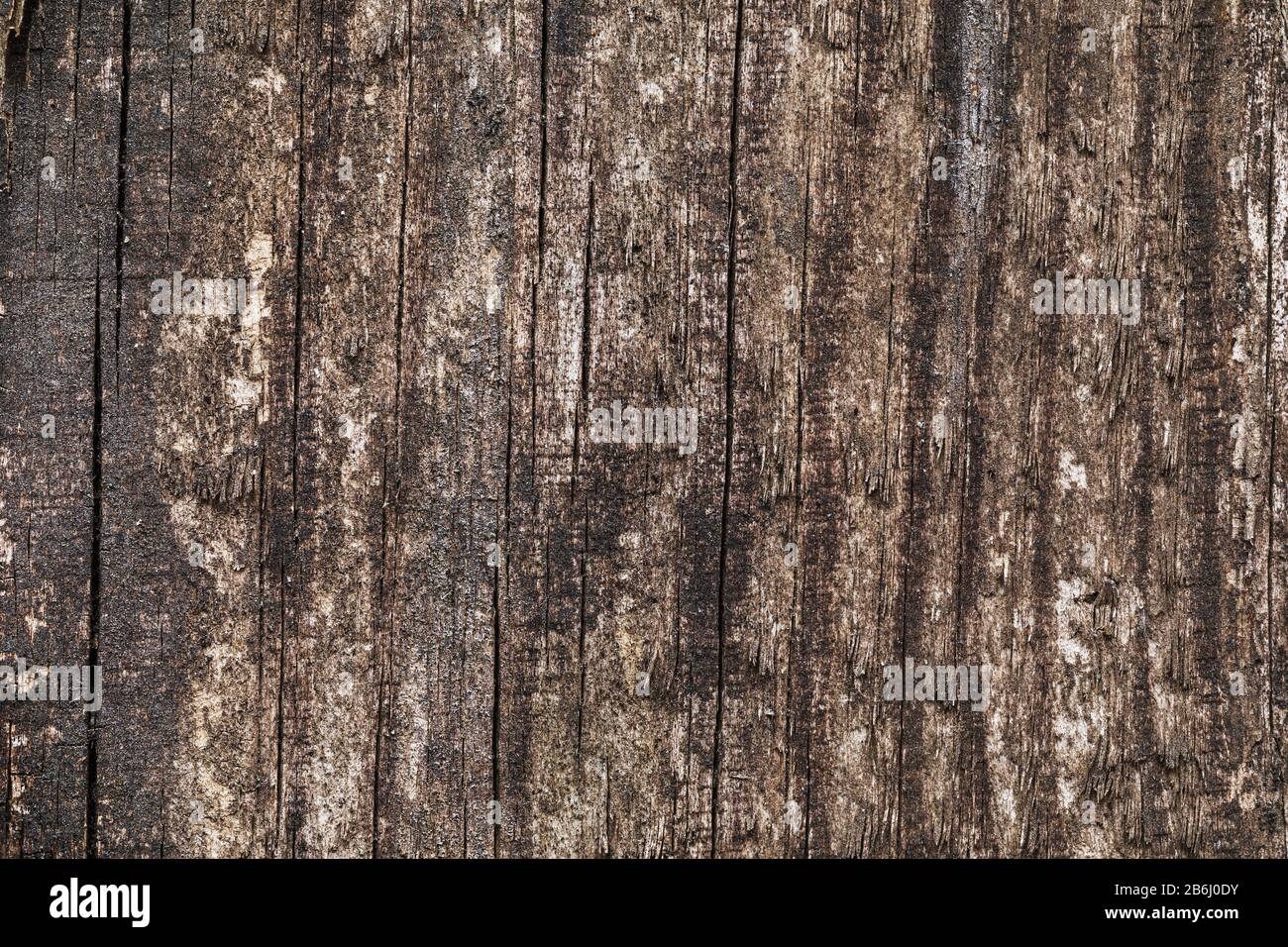 Texture of dirty old wood. Abstract background Stock Photo - Alamy