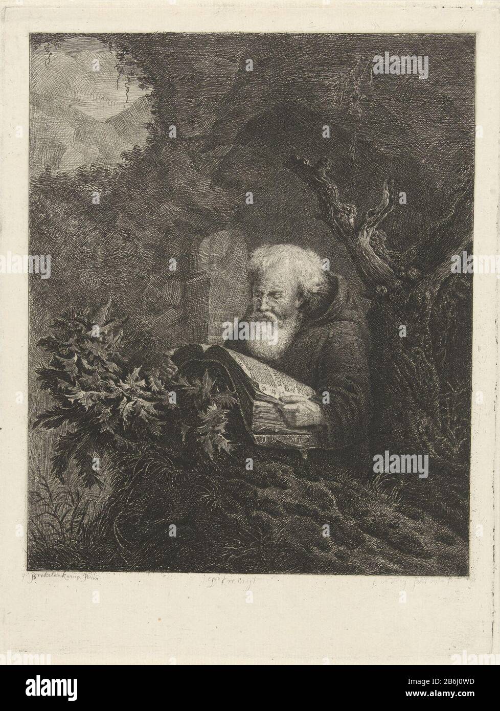 Bearded hermit hi-res stock photography and images - Alamy