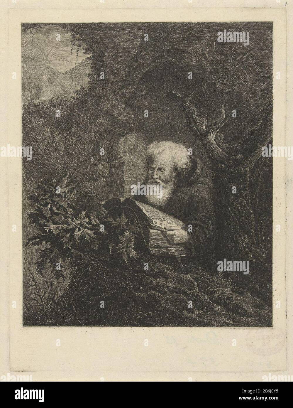 Bearded Hermit High Resolution Stock Photography and Images - Alamy