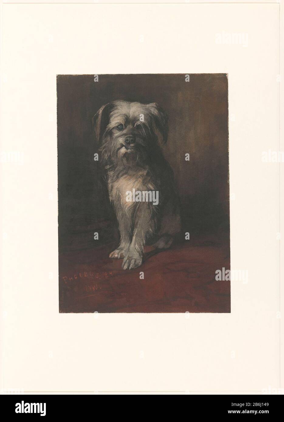 H 355 mm w 255 mm hi-res stock photography and images - Alamy