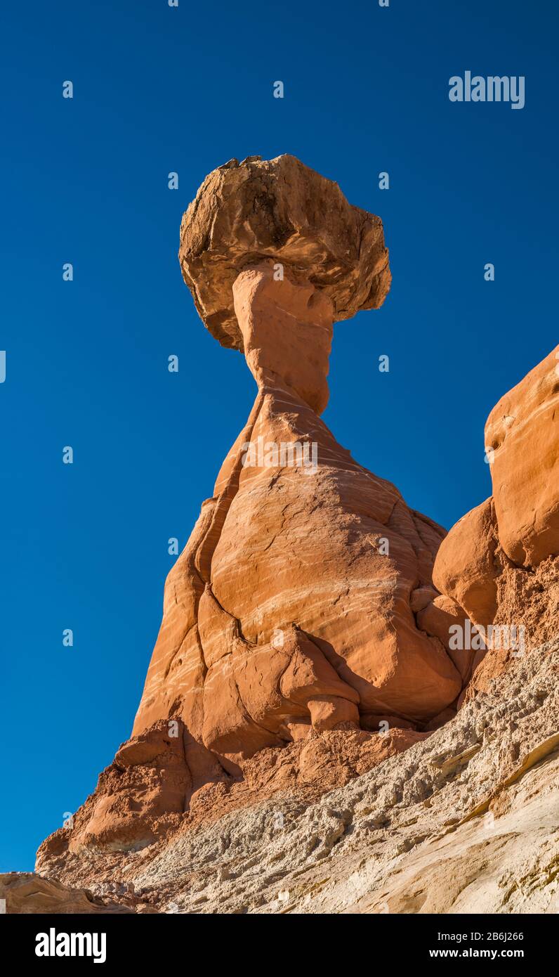 Toadstool Hoodoo, Dakota Formation boulder on top of Entrada Sandstone ...