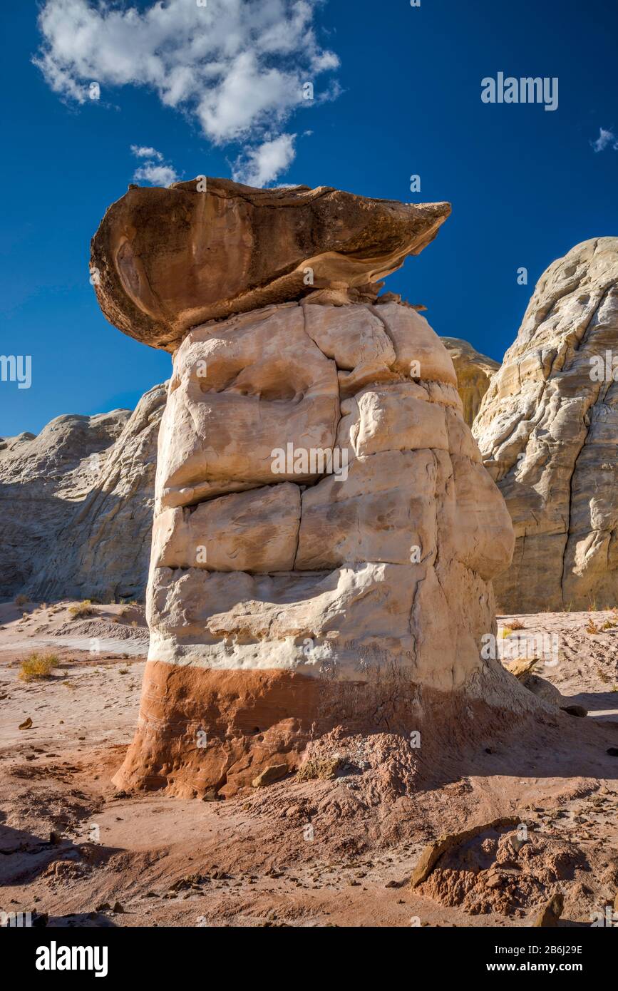 Toadstool Hoodoo, Dakota Formation boulder on top of Entrada Sandstone ...