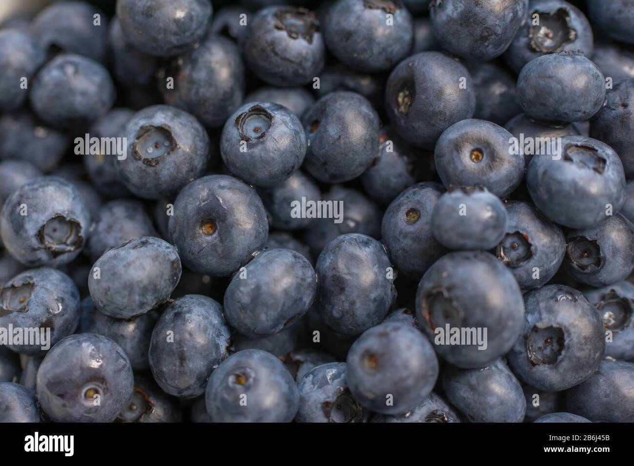 Texture of blueberry berries close up. Fresh blueberry background Stock ...