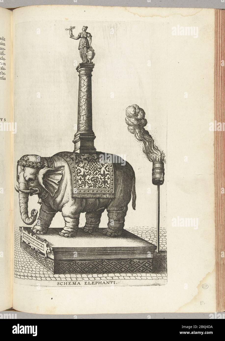 Ludorum hi-res stock photography and images - Alamy