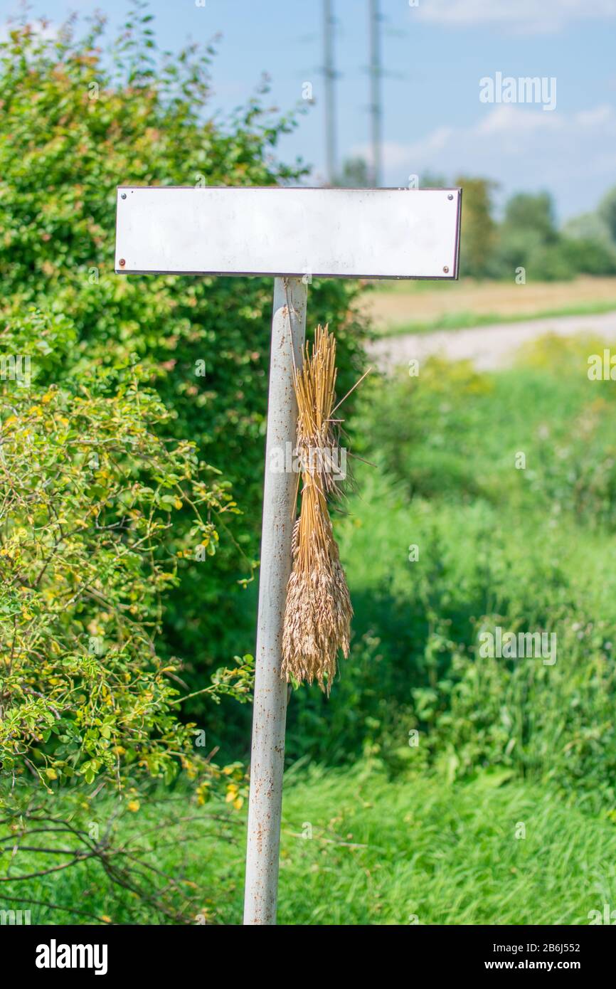 Empty blank sign post with no text. Green countryside background with ...