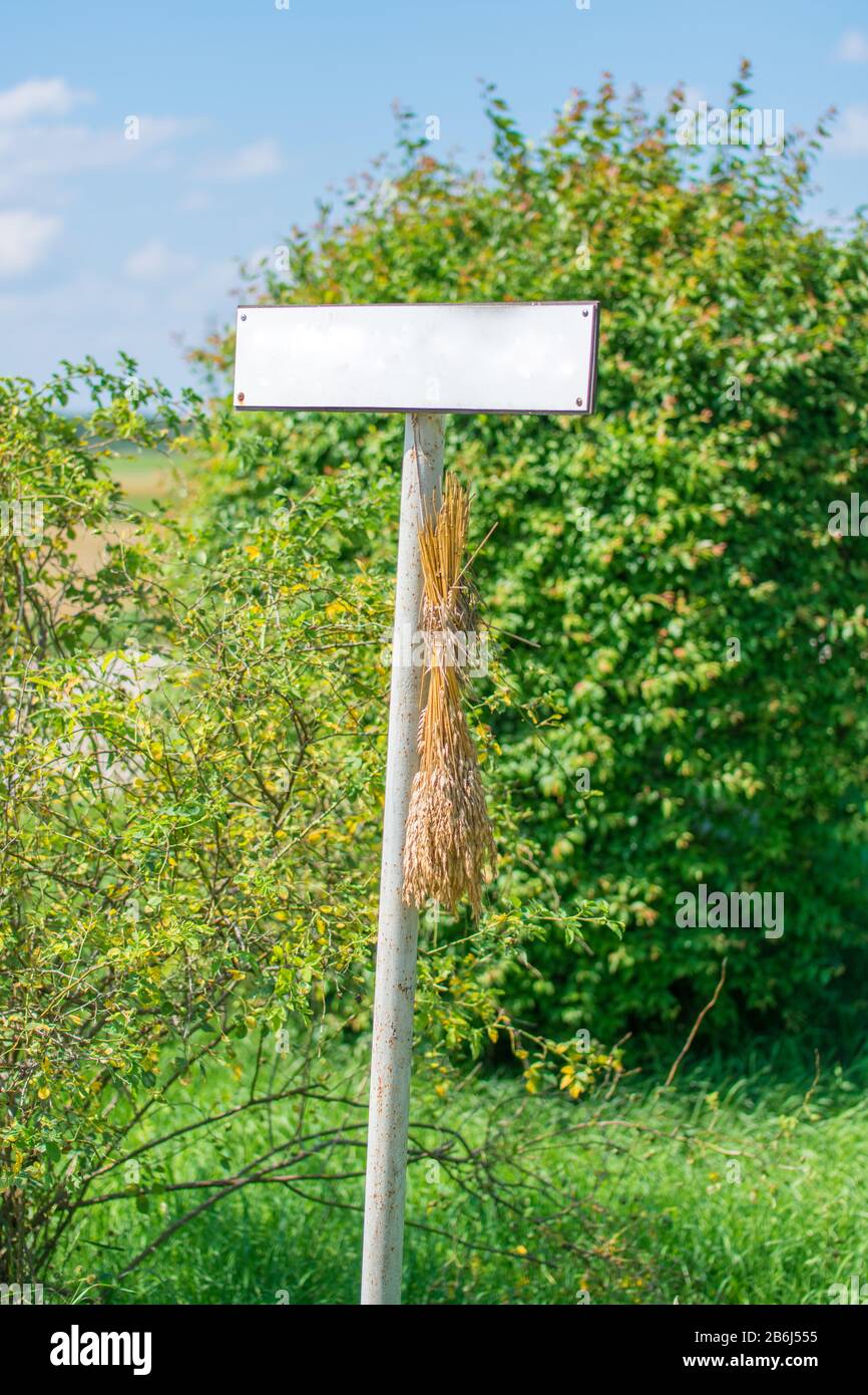 Empty blank sign post with no text. Green countryside background with ...