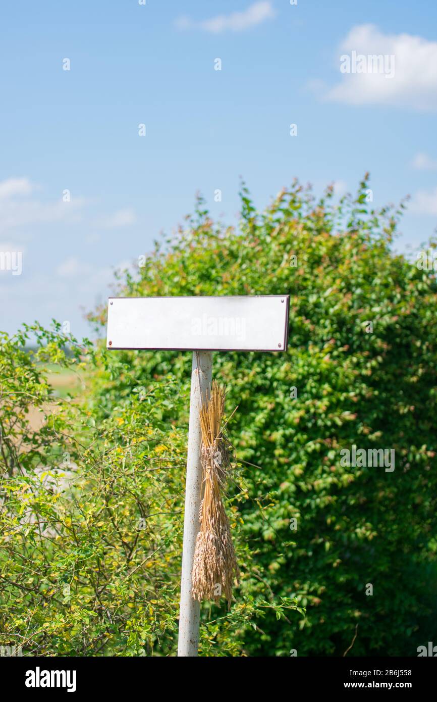 Empty blank sign post with no text. Green countryside background with ...