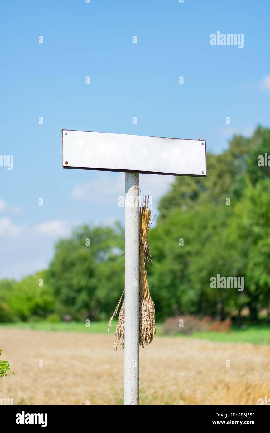Empty blank sign post with no text. Green countryside background with ...