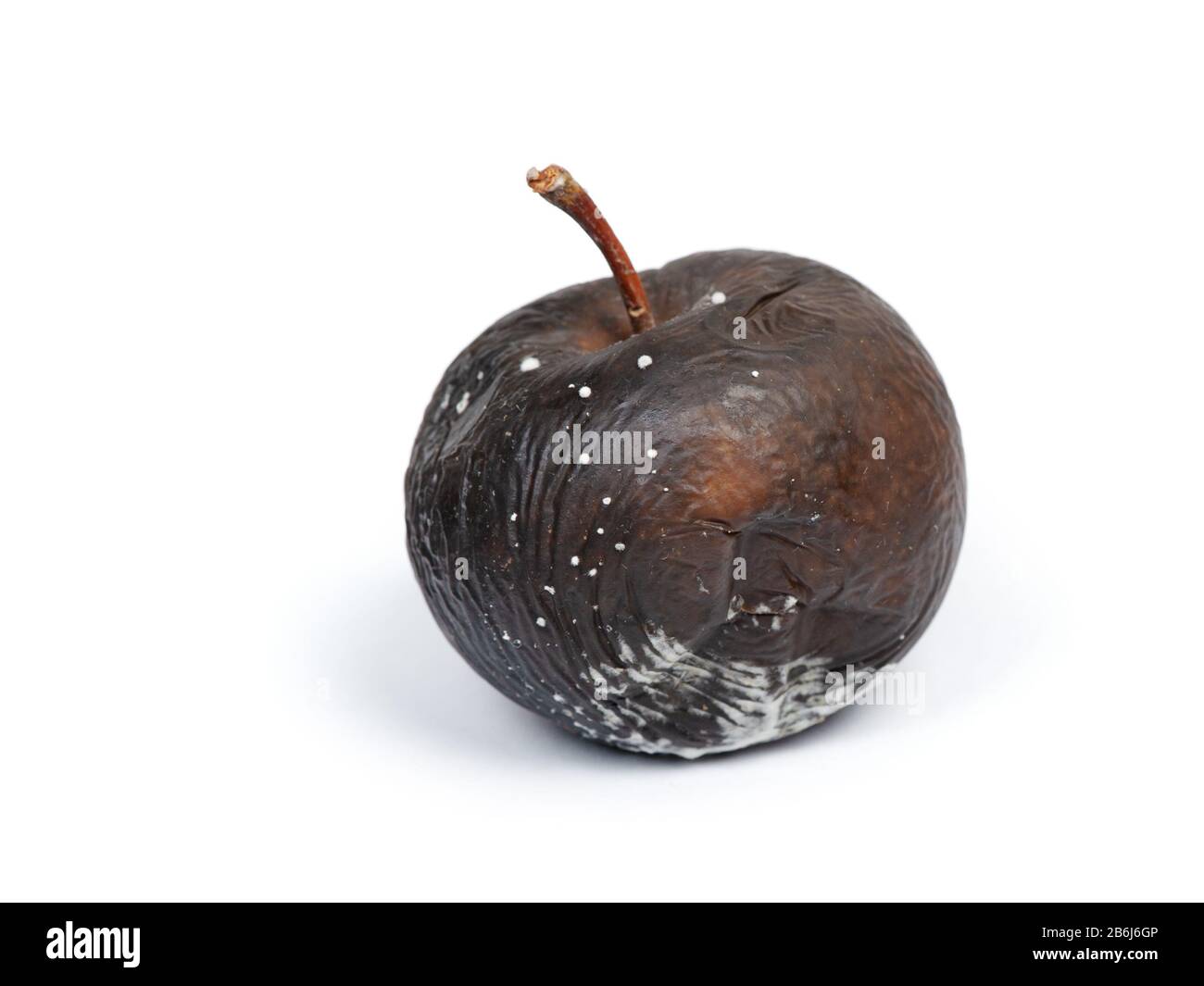 One very rotten apple isolated on white background Stock Photo - Alamy