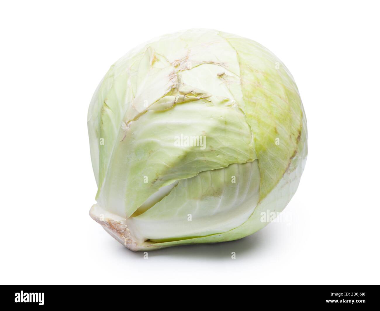Damaged head of cabbage isolated on white Stock Photo - Alamy