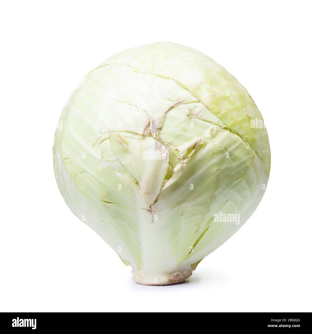 Damaged head of cabbage isolated on white Stock Photo - Alamy