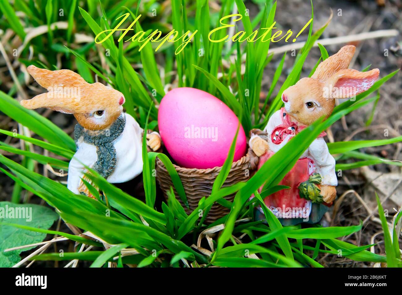Homeeggs hi-res stock photography and images - Alamy
