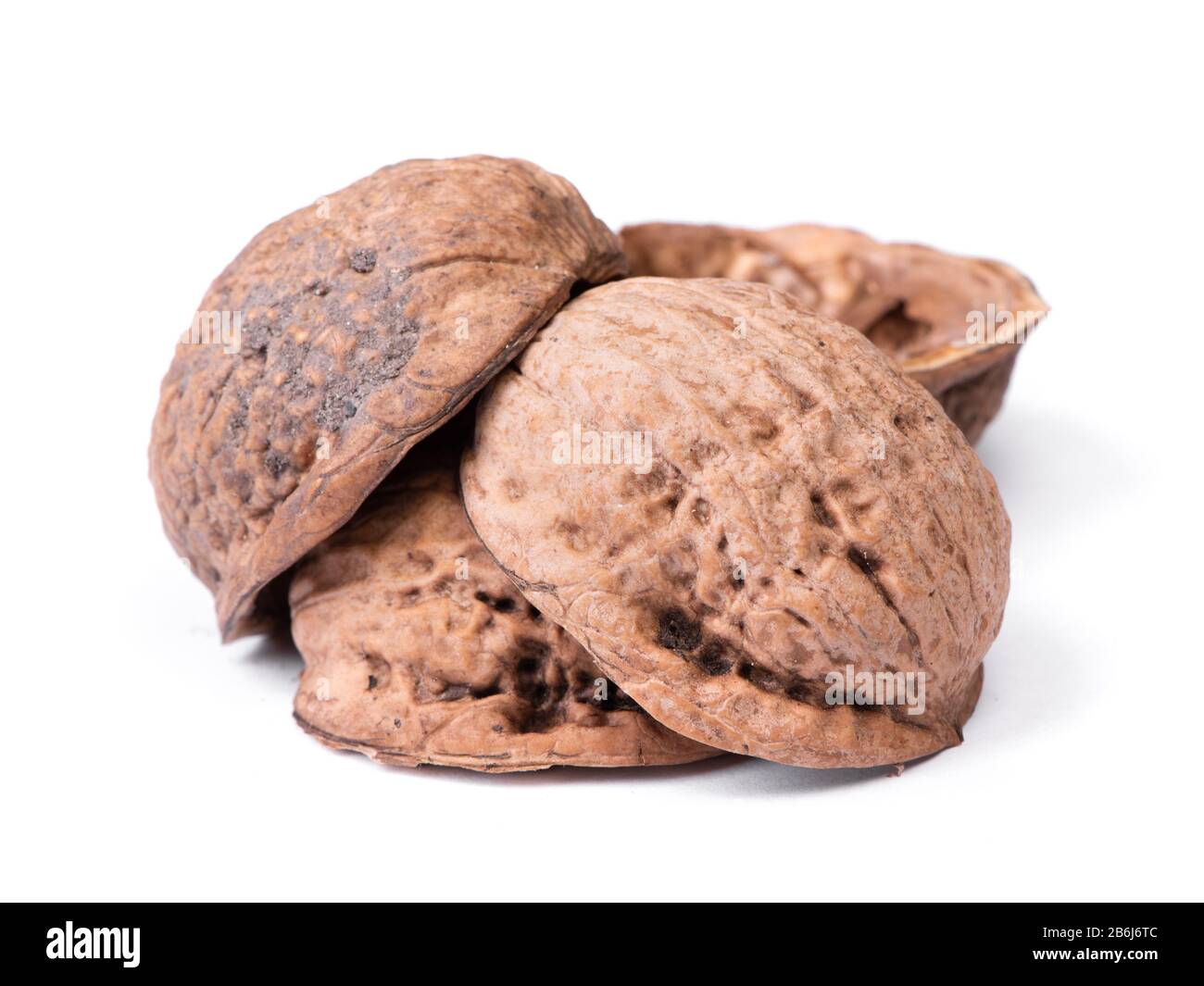 Empty walnut shells isolated on a white background Stock Photo - Alamy