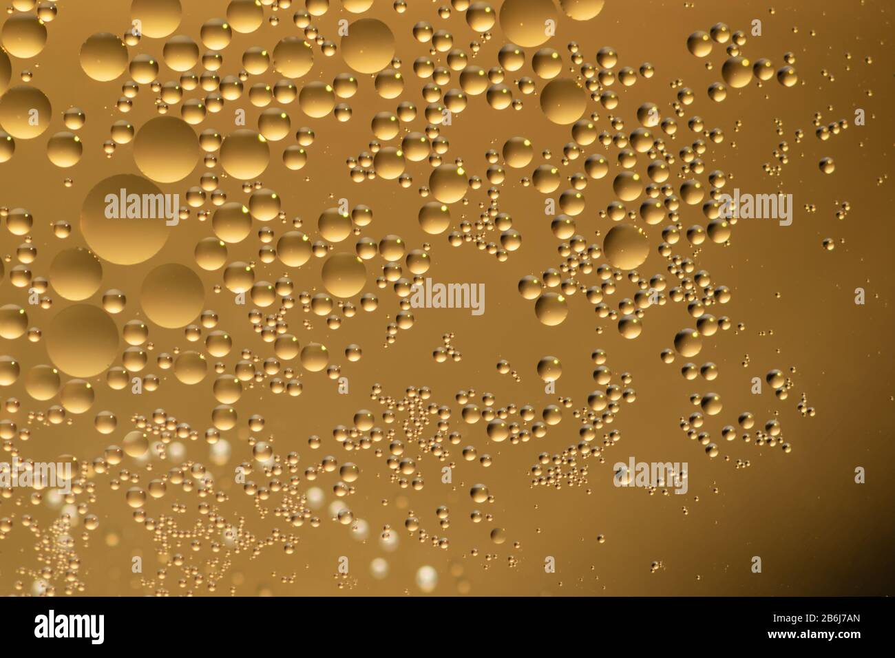 Close up golden yellow bubble oil abstract background texture with copy ...