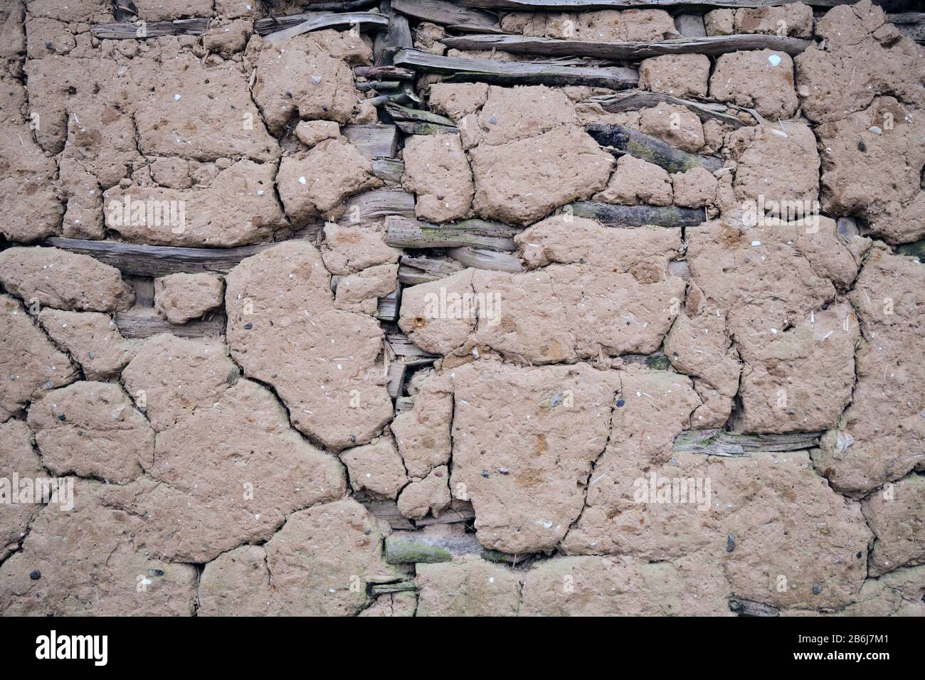 Weathered damaged mud daub on a timber frame building wall with cracks ...