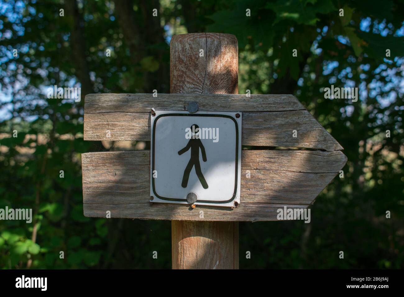 Walking trail direction old signpost, Green background. Wooden sign ...