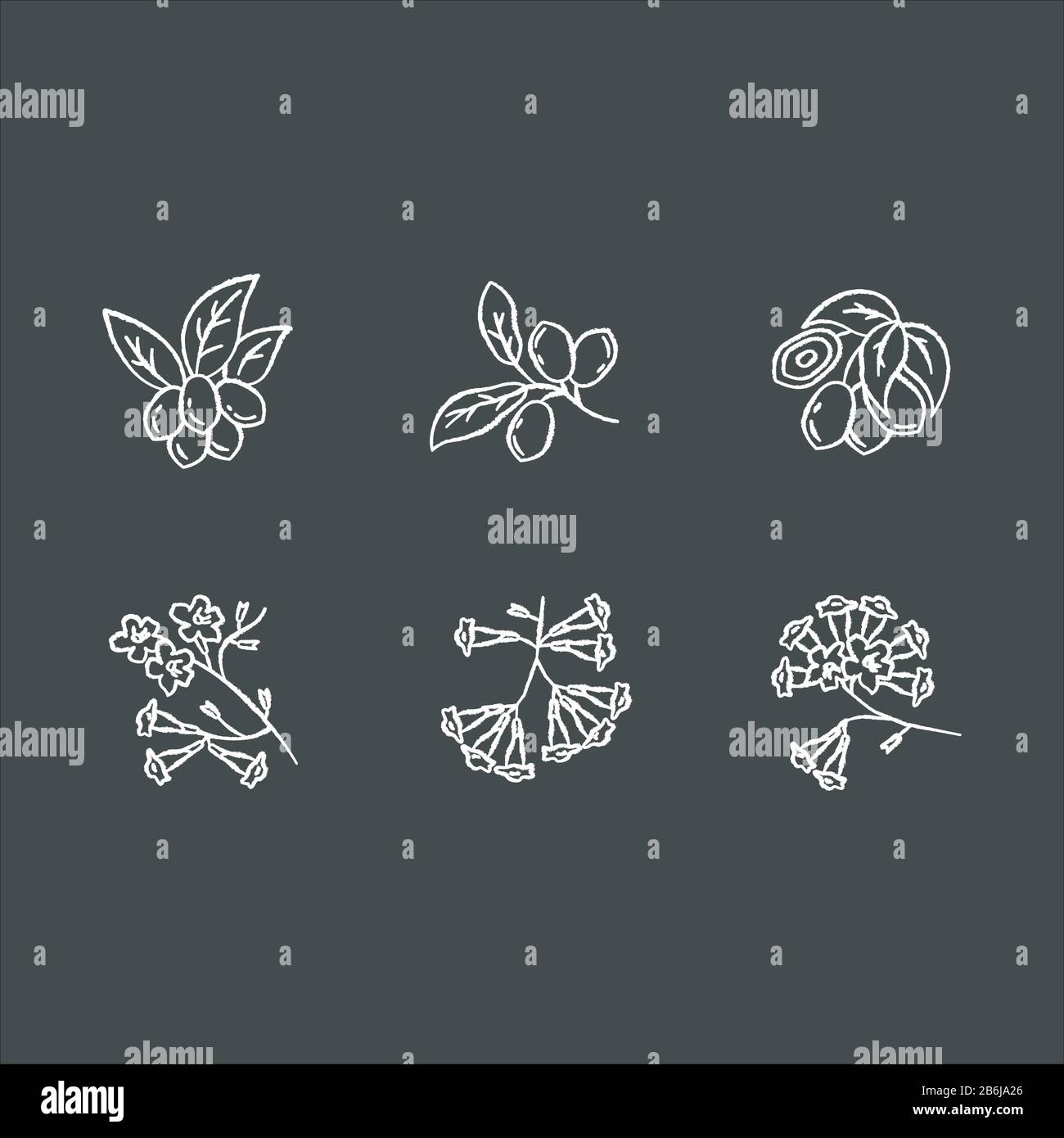 Ipe logo design hi-res stock photography and images - Alamy