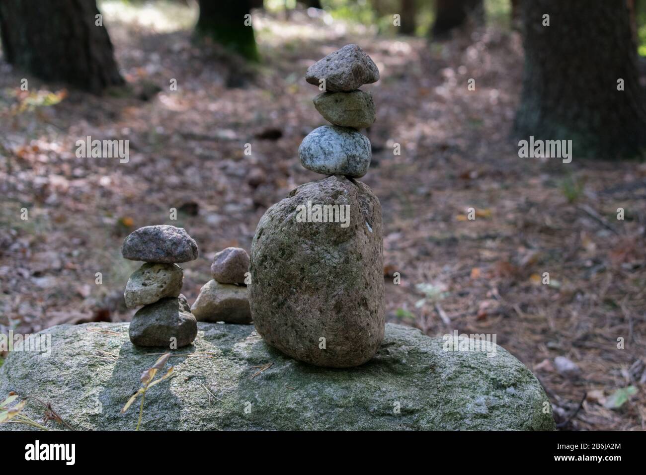 Stack of stones in the woods. Zen garden. Pebble tower Stock Photo - Alamy