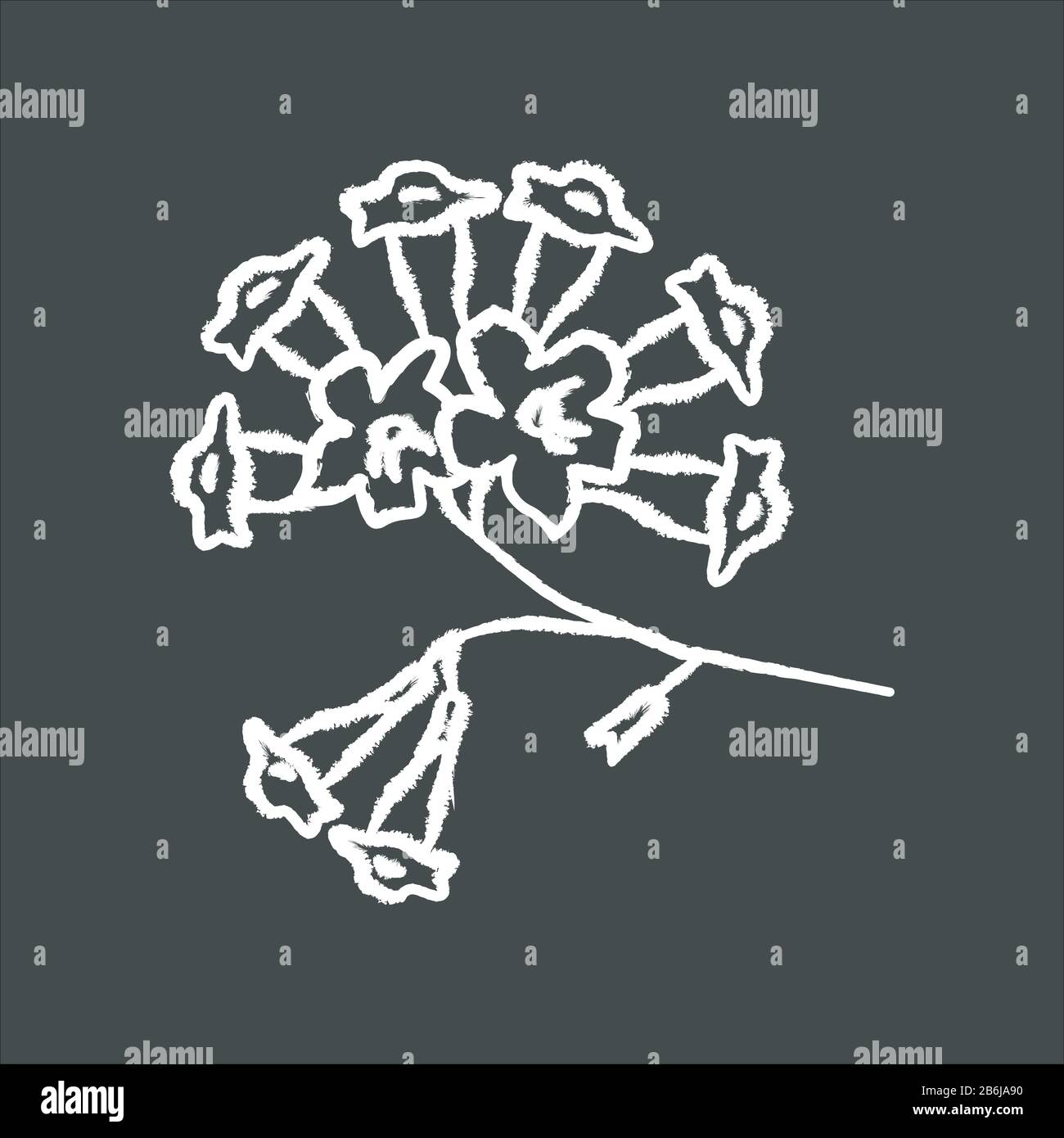 Plumeria chalk white icon on black background. Ipe tree. Tropical ...